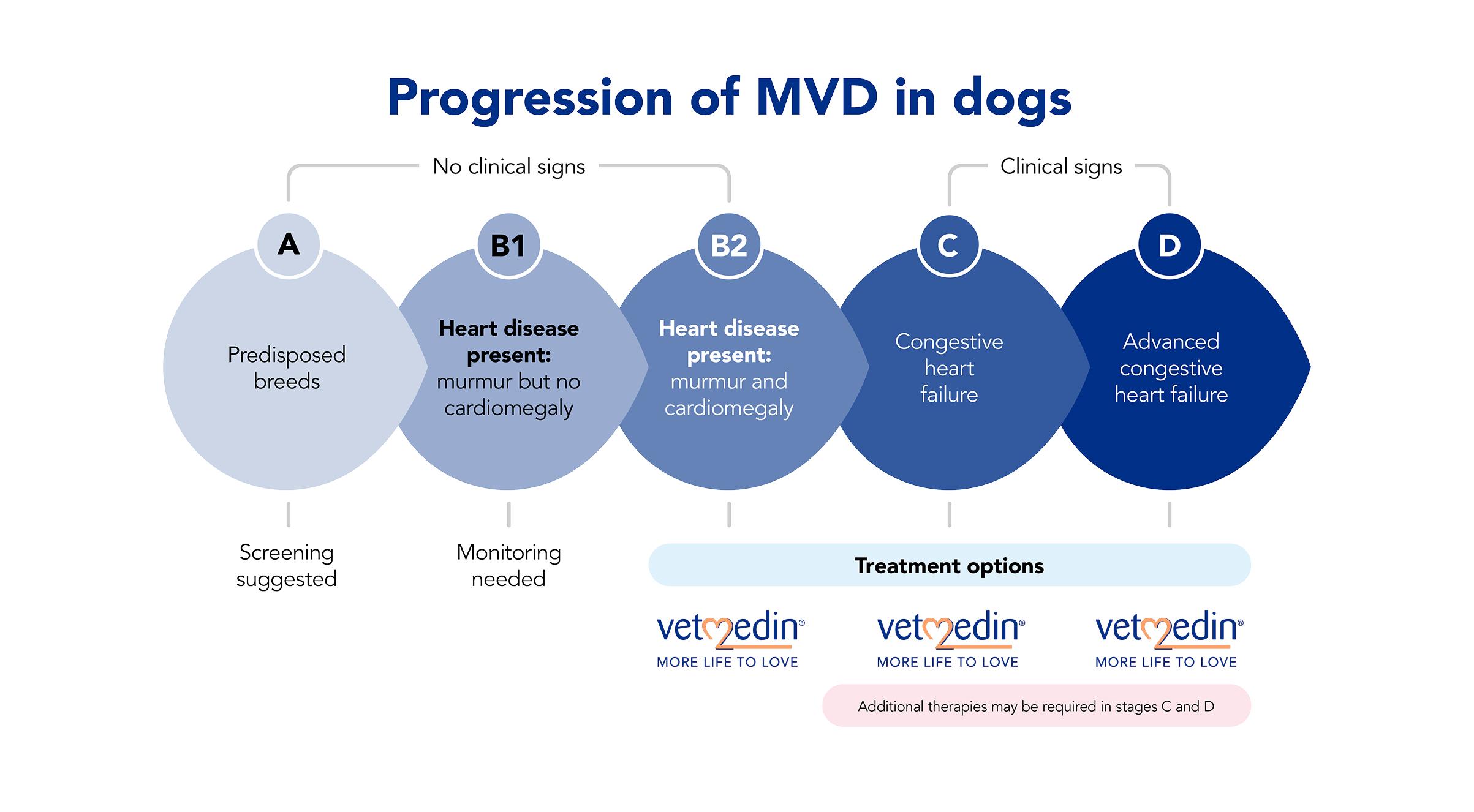 For Vets | Vetmedin UK