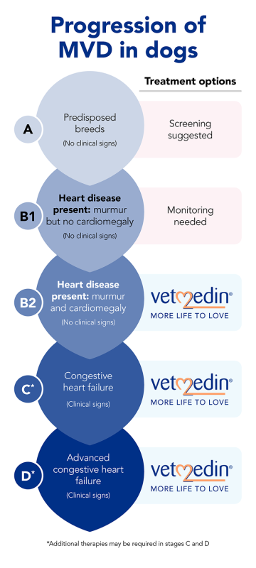For Vets | Vetmedin UK