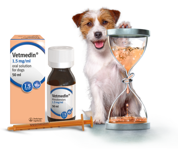 For Vets | Vetmedin UK