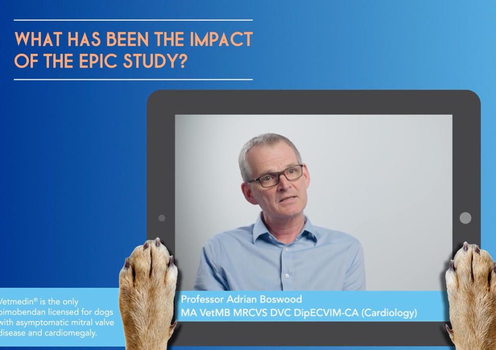 For Vets | Vetmedin UK